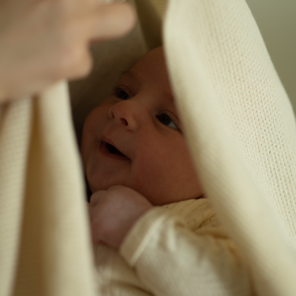 The Essentials of Lactation: Boosting Milk Production Naturally ...